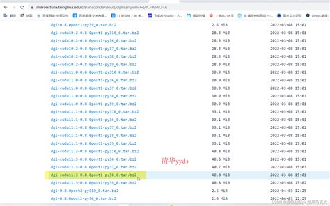 Kaggle在output上；pytorch安装包下载后怎么装；（最全的安装包下载带cuda版本）dgl113下载；报错