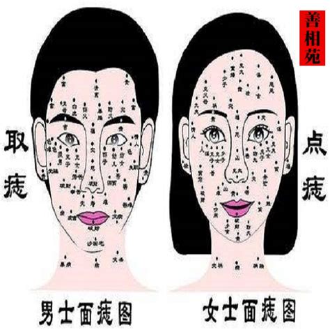 人的面相图解全身人的面相图解讲解 伤感说说吧