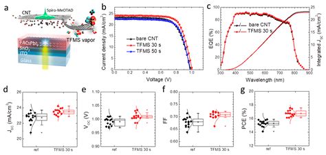 Coatings Free Full Text Recent Progress In Perovskite Solar Cells Status And Future