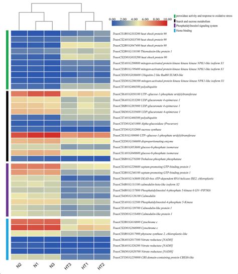 Hierarchical Clustering Analysis Of Hub Degs In The Crucial Pathway