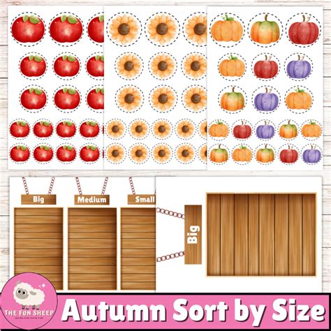 Autumn Sort By Size Size Sorting Activity Fall Pumpkins Apples Sunflowers Made By Teachers