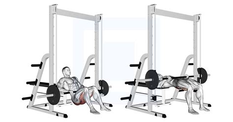 Smith Hip Thrust Guide Benefits And Form