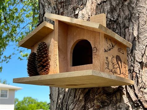 Squirrel Housenesting Box Etsy Squirrel Home Bird Houses Squirrel