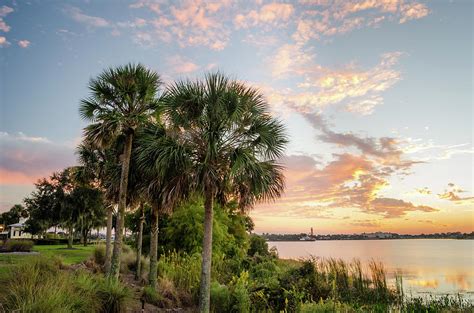 Florida Color Photograph By Mike Oshell Fine Art America
