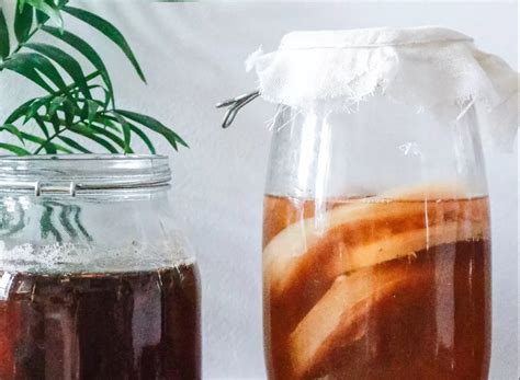 Madingoji Kombuča Sveikatai Palankesnis Pasirinkimas Bet Tinka Ne