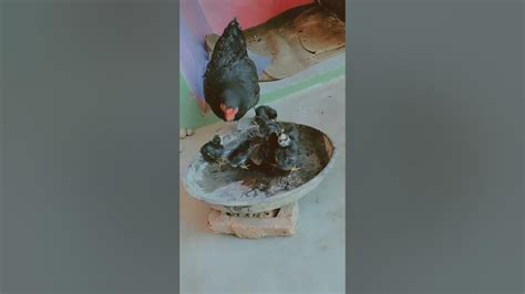 Mamta Ke Mandir Ki Hai Tu Sabse Pyari Murat🥰😘😘shorts Viral Maa Love