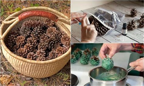 9 Clever And Practical Pine Cone Uses In The Home And Garden