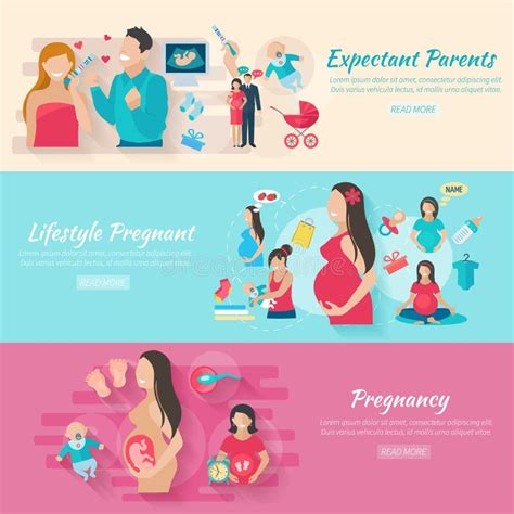 Human Fetus Inside Icon Set Stock Vector Illustration Of Human Birth