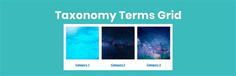 Taxonomy Terms Grid Plugin —