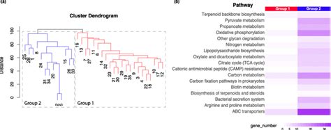Microbial Gene Expression Profiling Of Subjects A The Samples Were