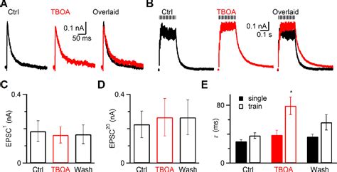 Figure 3 From Different Pools Of Glutamate Receptors Mediate Sensitivity To Ambient Glutamate In