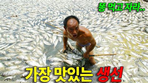 현재 지구상에서 가장 더러운데 맛있는 물고기 Top10 Youtube