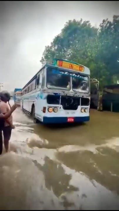 මෙන්න මේවනේ යකෝ බස් Sri Lankan Bus Simulator Game Amiya Shorts 😘😘