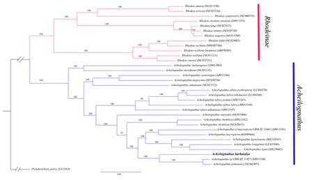 Phylogenetic Trees Derived From The Bayes Approaches Based On