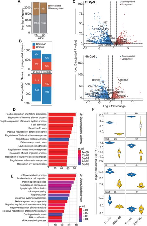 Integrative Genomics Using Bulk Rna‐seq Depicted The Immune‐suppression
