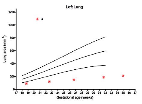 The Contralateral Lung Area Measurements Of Fetuses Not Surviving