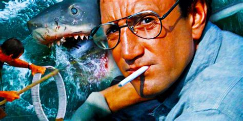 10 Harsh Realties Of Rewatching Jaws 49 Years Later