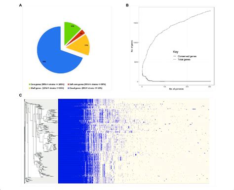 Pan Genome Estimation Of Enterococcus Hirae A Genomic Statistics Download Scientific