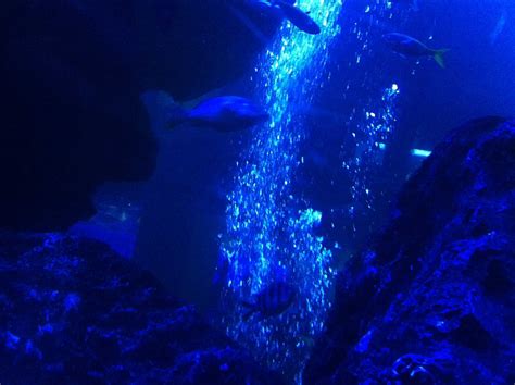 瑠璃色で痩せる！ 杉本美佳の『佳人のすゝめ』