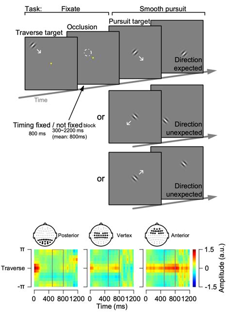 Research Sensorimotor Cognition And Computation Laboratory