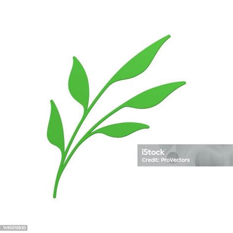 녹색 잔디 생물 생태학 나뭇 가지 단풍 허브 식물 장식 요소 3d 아이콘 벡터 0명에 대한 스톡 벡터 아트 및 기타 이미지 0명 3차원 형태 공란 Istock