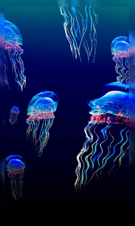 Colorful Jellyfish Wallpaper Hd