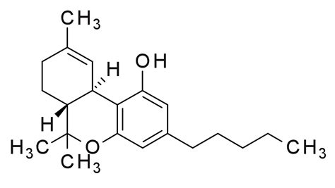 The Chemical Structure Of Thc