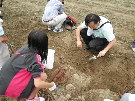 11 1公開黒木華主演映画アイミタガイは三重県桑名四日市津がロケ地草野翔吾監督と黒木華さんにお話しを伺いロケ地巡りを楽しんで