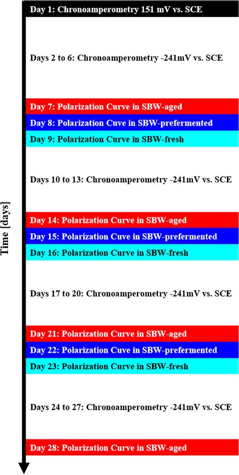 Course Of The Experiment With The Sequence Of Polarization Experiments