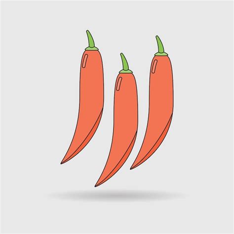 칠리 벡터 프리미엄 벡터
