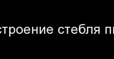 Схема строение стебля пшеницы Album On Imgur