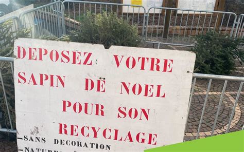 Recyclez Votre Sapin Naturel Ville De Loos En Gohelle