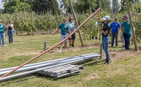 Study Tests Orchard Trellis Alternatives Good Fruit Grower