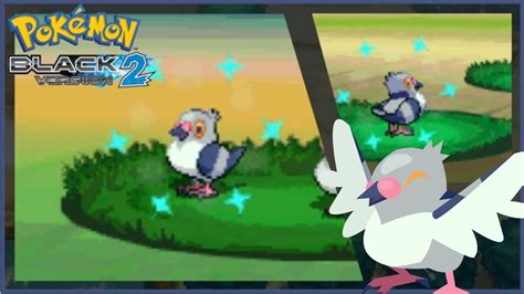 Live Full Odds Shiny Pidove In Pokemon Black 2 Map Quest Youtube