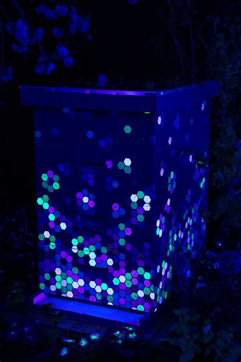 UV HIVE Chloé Bulpin