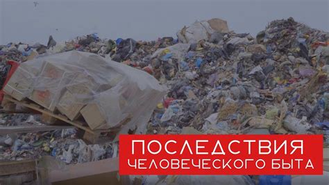 Бросая мусор на улице, не забудьте хрюкнуть - YouTube
