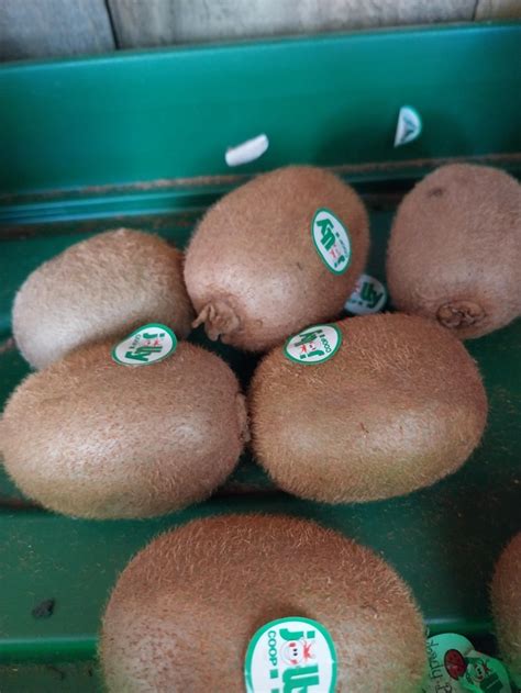 Kiwi