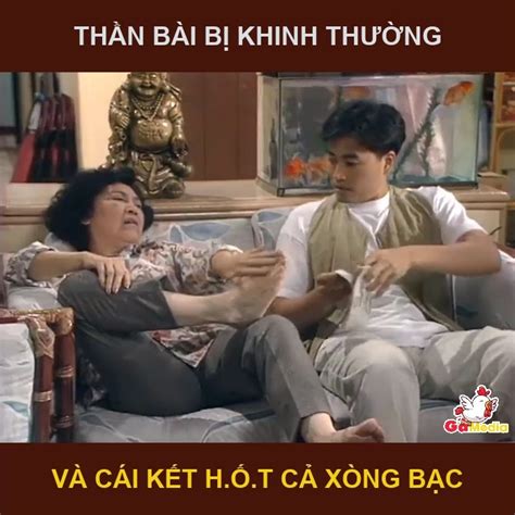 Thần Bài Bị Khinh Thường Và Cái Kết Thần Bài Bị Khinh Thường Và Cái