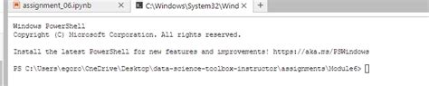 Change The Terminal From Windows Powershell To Bash Issue 643