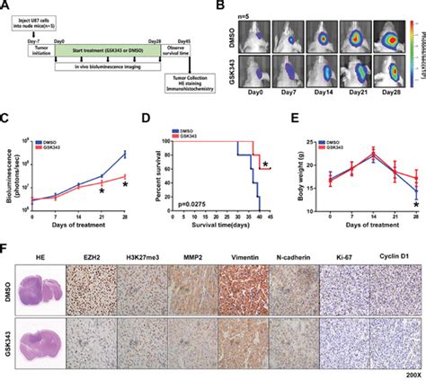 The Ezh2 Inhibitor Gsk343 Suppresses Cancer Stem Like Phenotypes And