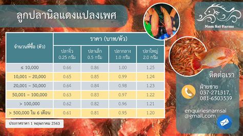 ปลาทับทิมพร้อมจำหน่าย Nam Sai Farms น้ำใสฟาร์ม