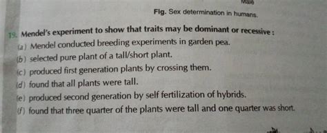 Sex Determination In Humans 19 Mendels Experiment To Show That Traits