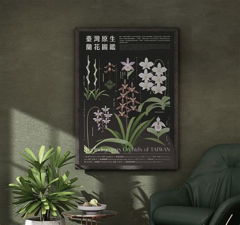 Poster Infographic Behance