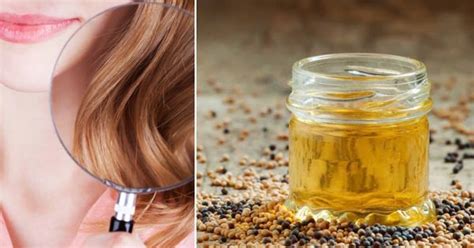 مهمترین خواص روغن جوانه گندم طرز تهیه روغن جوانه گندم ستاره