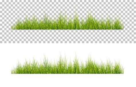 Grass Alpha Texture