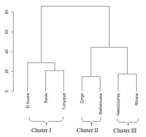 hierarchical clustering based on agronomical traits considered in our