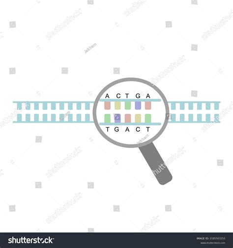 893 Base Sequence Icons 图片、库存照片和矢量图 Shutterstock 893 Base Sequence Icons 图片、库存照片和矢量图 Shutterstock