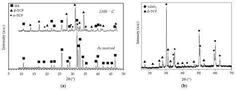 Dlp Fabrication Of Zirconia Scaffolds Coated With Haβ Tcp Layer Role Of Scaffold Architecture