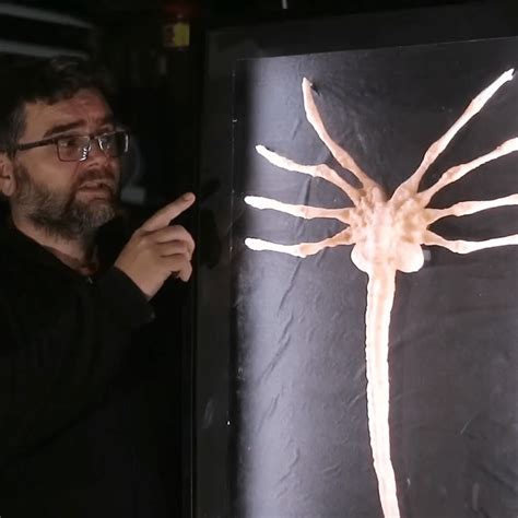 Raspberry Pi Hackaday