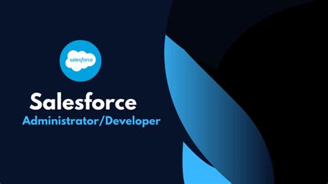help you with every facet of salesforce admin or developer by ghani9